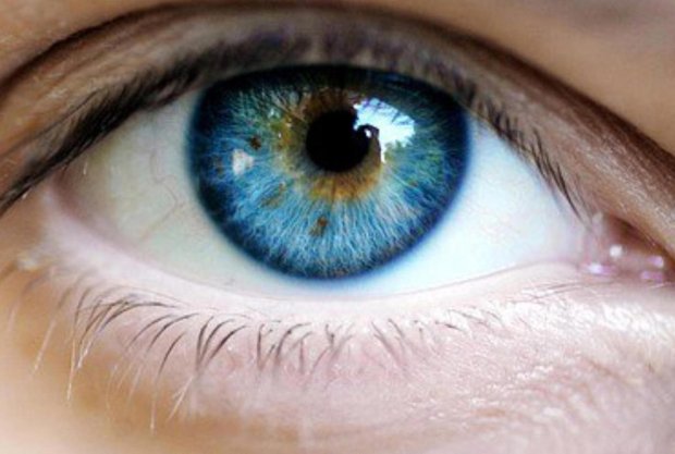 Barva očí se mění až do tří let. Zelené oči jsou téměř vzácnost ...